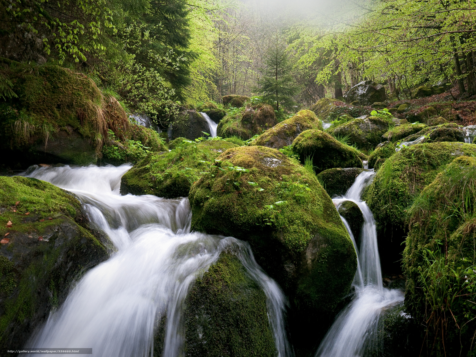Problems with Flow and Awkward Phrasing: Examples – Norma J. Hill